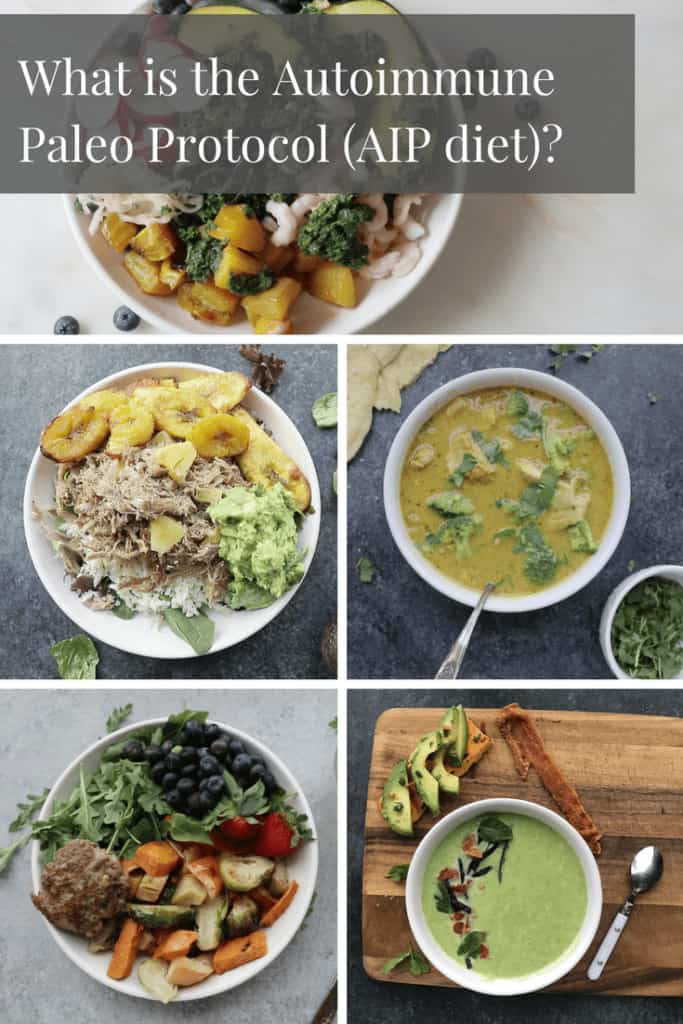 What is AIP? (The Autoimmune Paleo Protocol explained) - Thriving ...