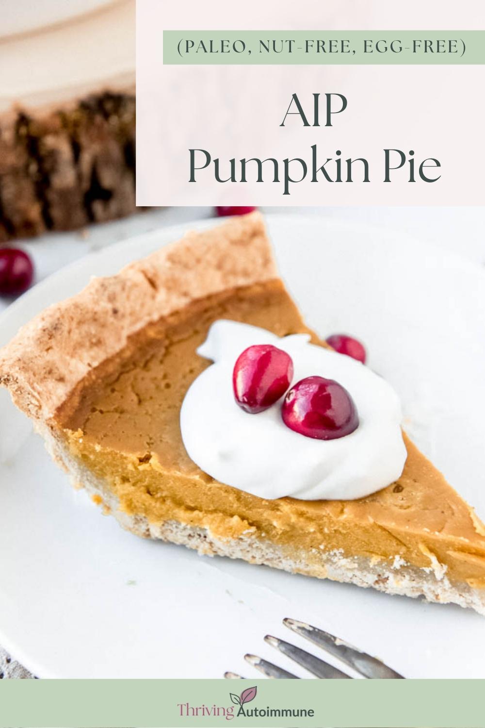 AIP Pumpkin Pie (Paleo, Nut-free) - Thriving On Paleo
